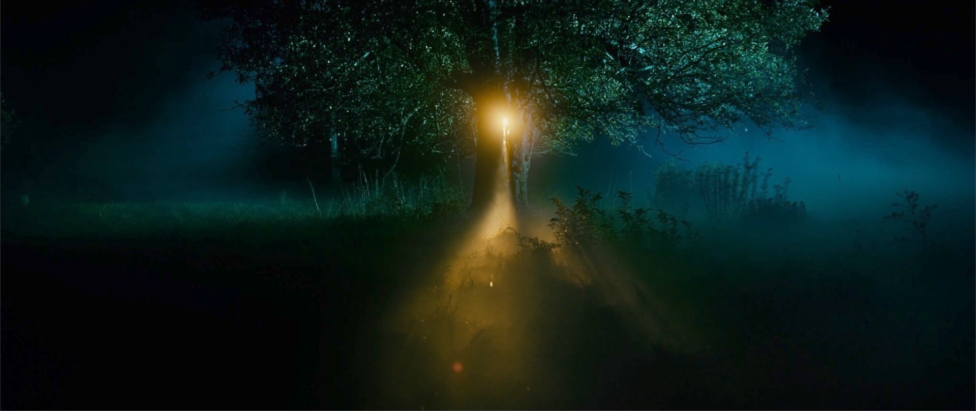 Contagious LA | Discover Narrative